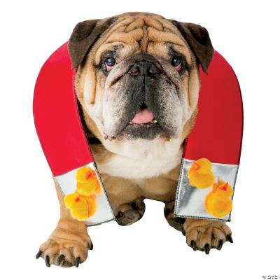 Chick Magnet Dog Costume | Halloween Express