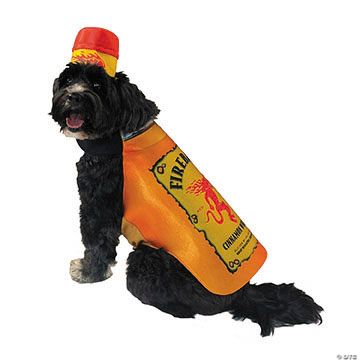 Fireball™ Bottle Dog Costume | Halloween Express