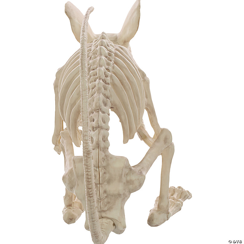 Attack Skeleton