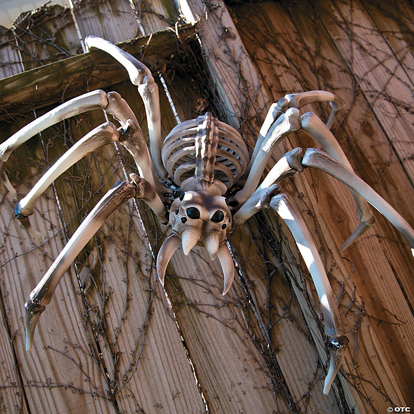 Bulk Giant Skeleton Spider Halloween Decorations - 4 Pc. | Halloween ...