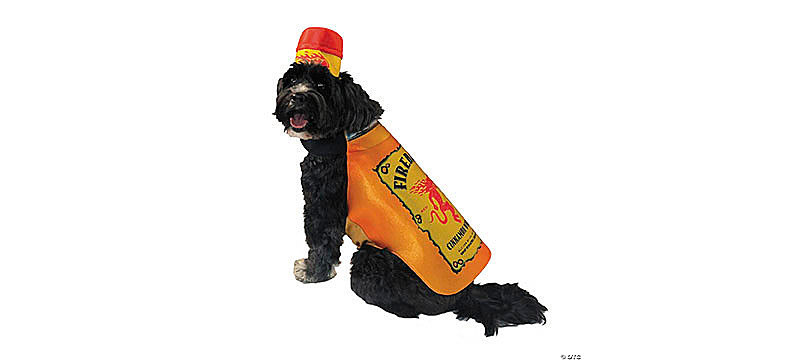Fireball™ Bottle Dog Costume | Halloween Express