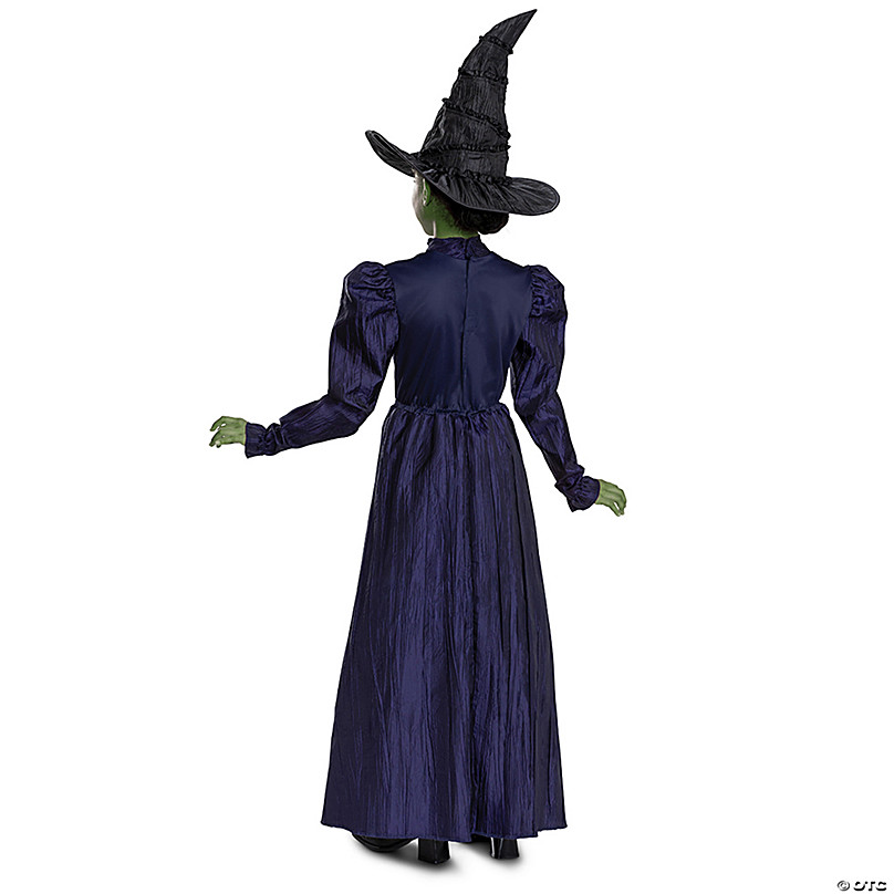 Girl’s Deluxe Wicked™ Elphaba Purple Dress Costume - Large 10-12 ...