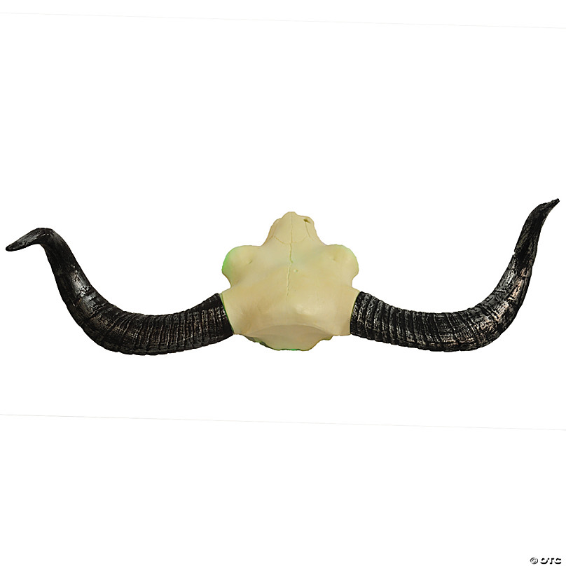 Lightup Longhorn Skull Decoration | Halloween Express
