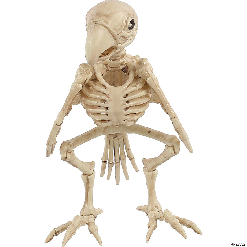 Skeleton Parrot Prop | Halloween Express