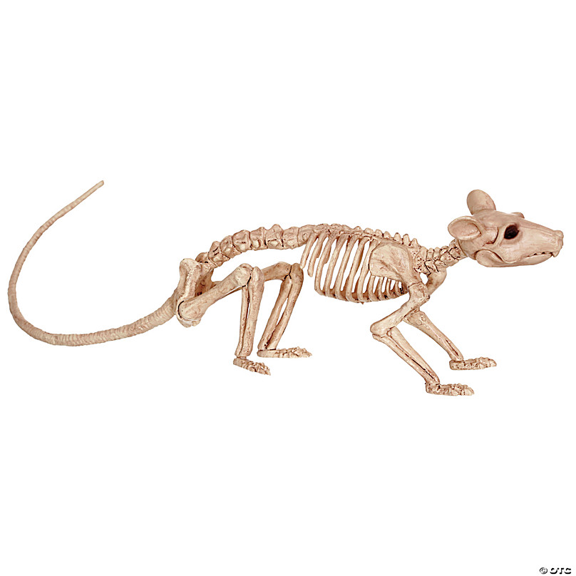 Skeleton Rat Decoration | Halloween Express