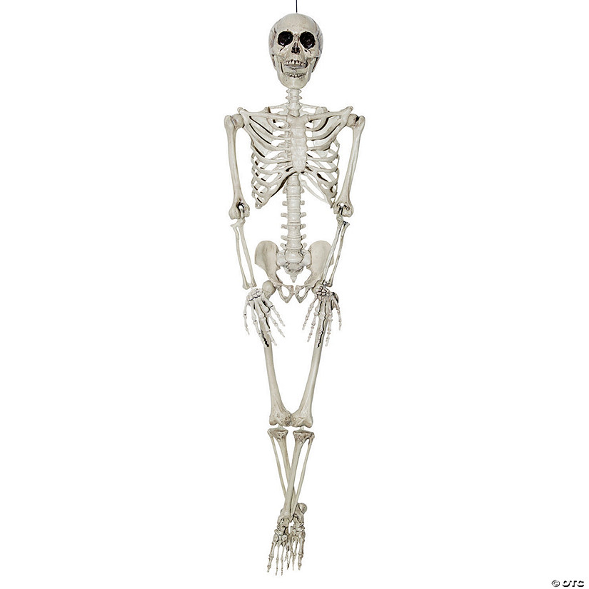 Hanging Skeleton Halloween Decoration | Halloween Express