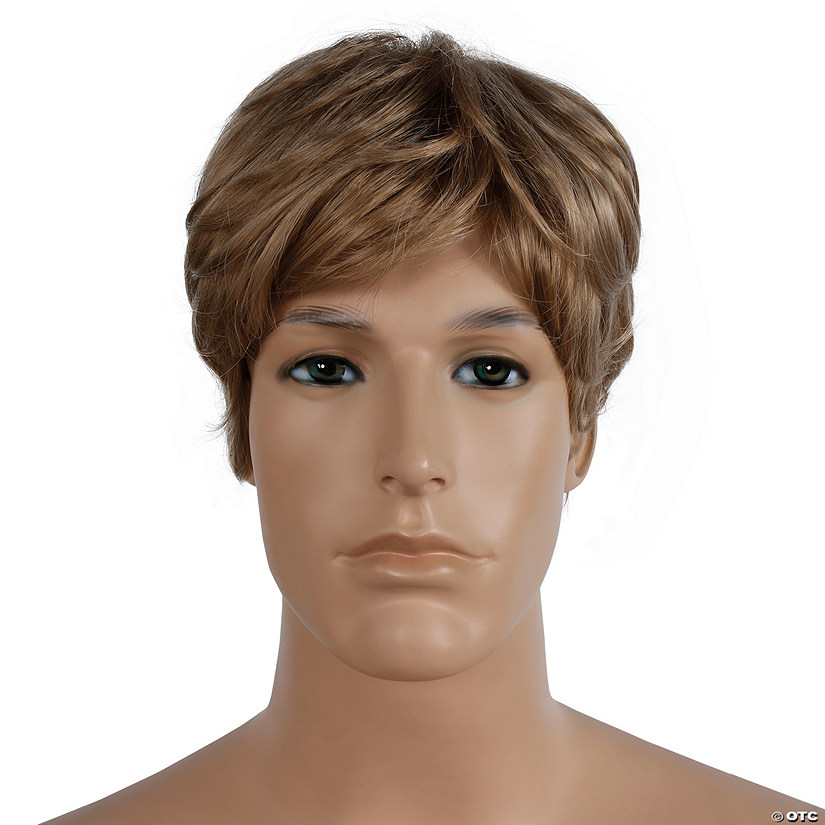 Men's Ash Bargain Wig | Halloween Express