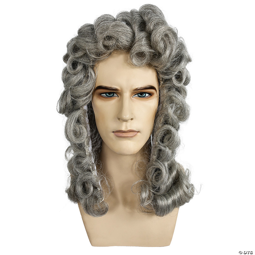 Men's Gray Discount Judge Wig | Halloween Express