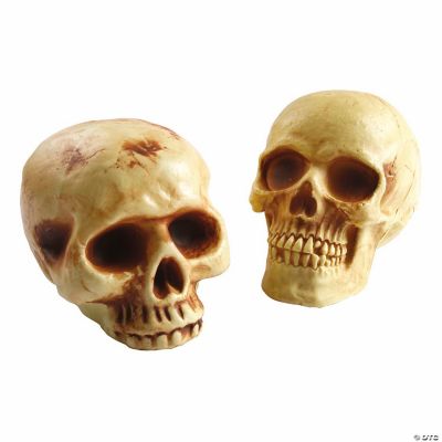 8" Brown Plastic Skull Halloween Decoration | Halloween Express