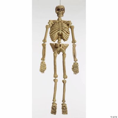 5 Ft. Realistic Skeleton Halloween Decoration | Halloween Express