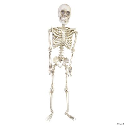 36" Posable Articulated Skeleton Halloween Decoration | Halloween Express