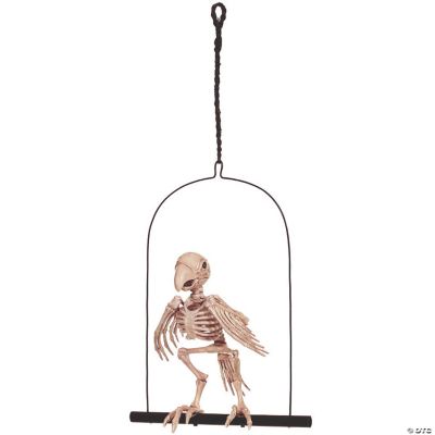 Skeleton Parrot on a Perch Halloween Decoration | Halloween Express