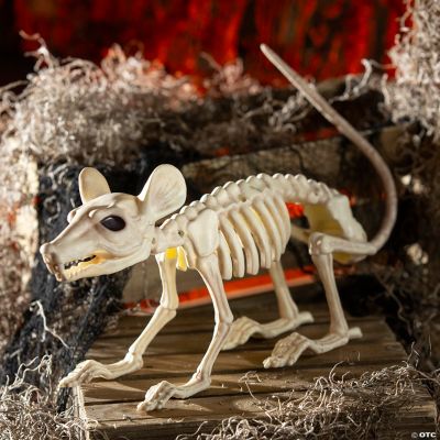 24" x 7" Plastic Rat Skeleton Halloween Tabletop Decoration | Halloween ...