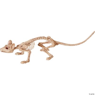 Mini Skeleton Rat Prop | Halloween Express