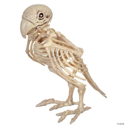Skeleton Parrot Prop | Halloween Express